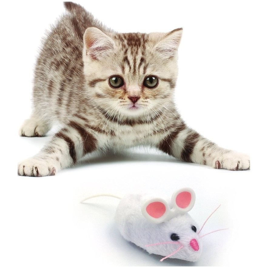 HEXBUG Robotická myš biela | Skolske–tasky.sk