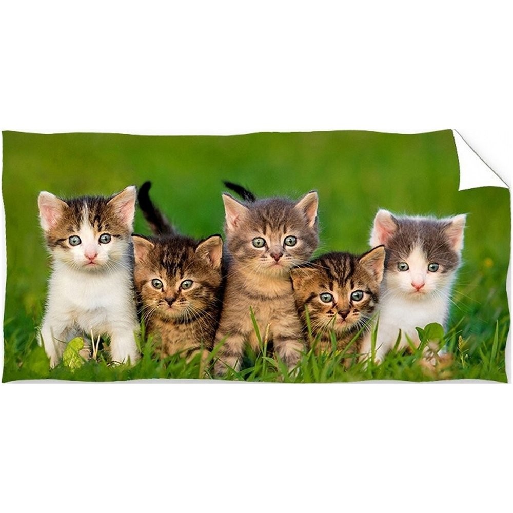 Osuška Mačiatka v tráve | Skolske–tasky.sk